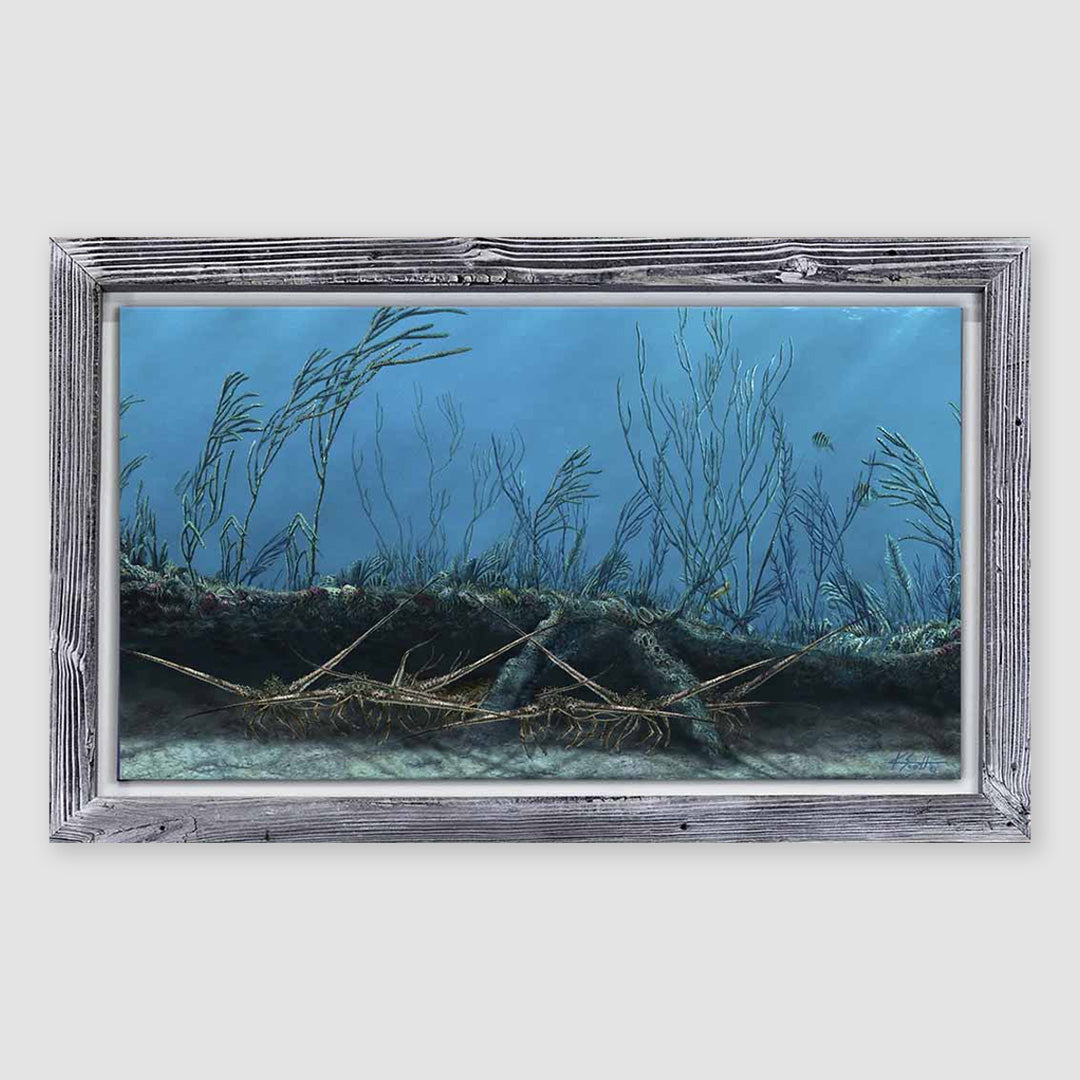 Under The Ledge - Caribbean Lobster Wall Art – KScott Art